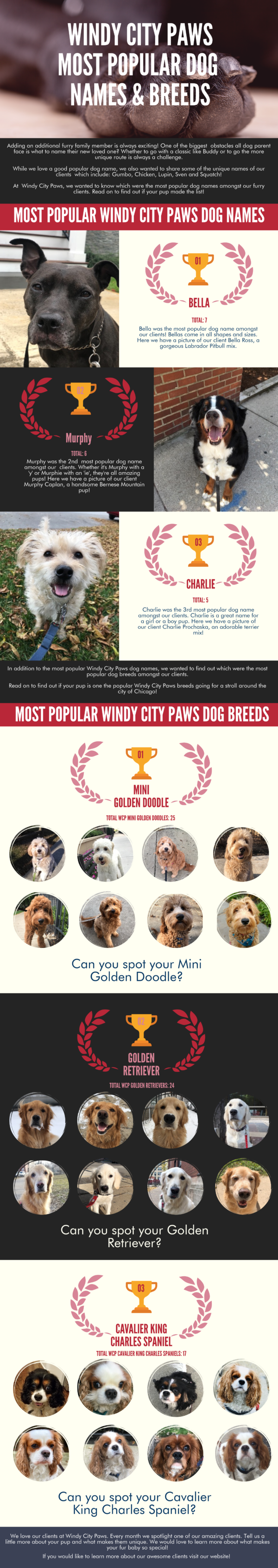 WINDY CITY PAWS MOST POPULAR DOG NAMES AND BREEDS - Windy City Paws