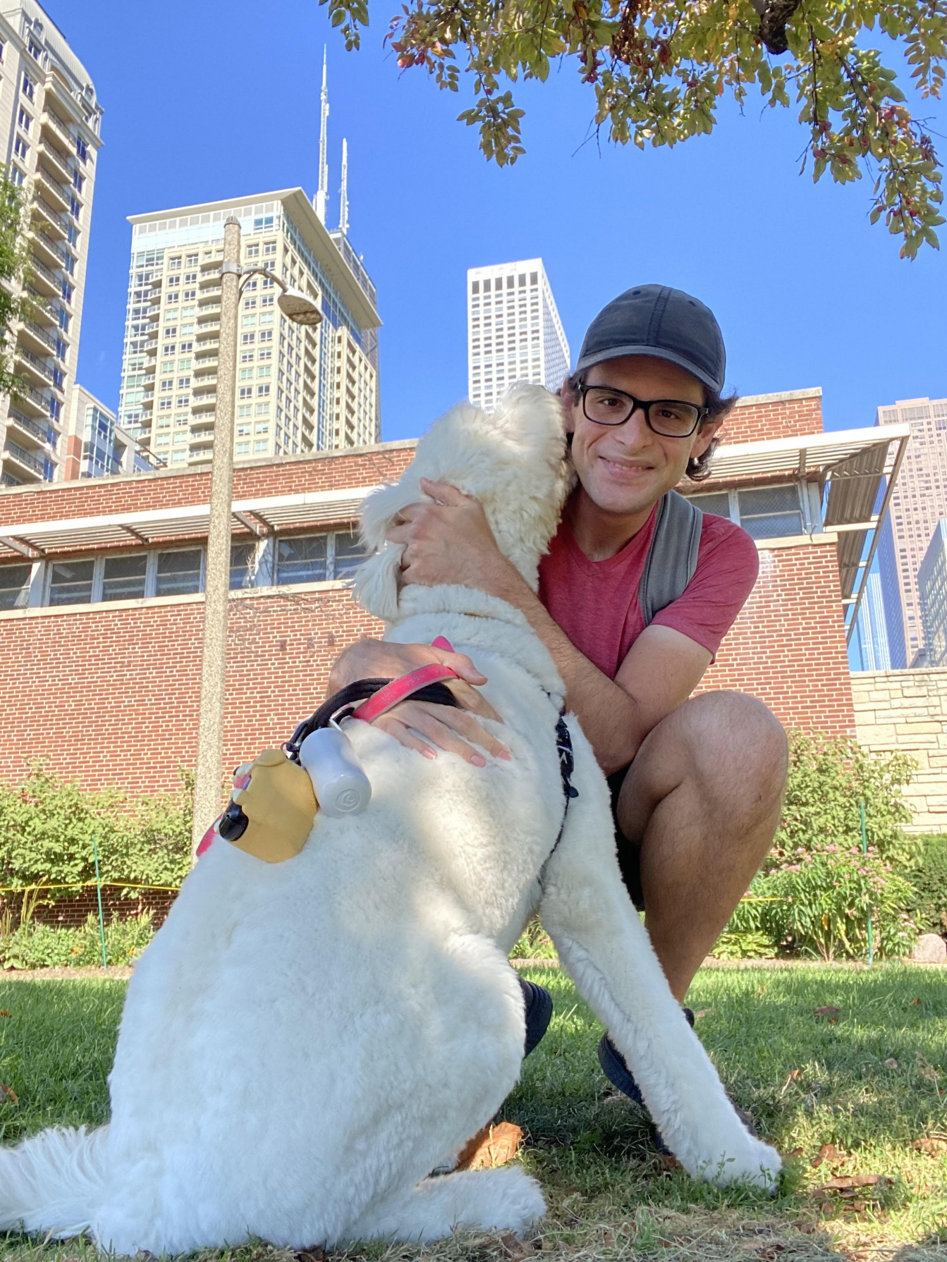 About Us - Windy City Paws