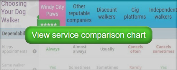 Chicago Dog Walkers for Busy Professionals - Windy City Paws